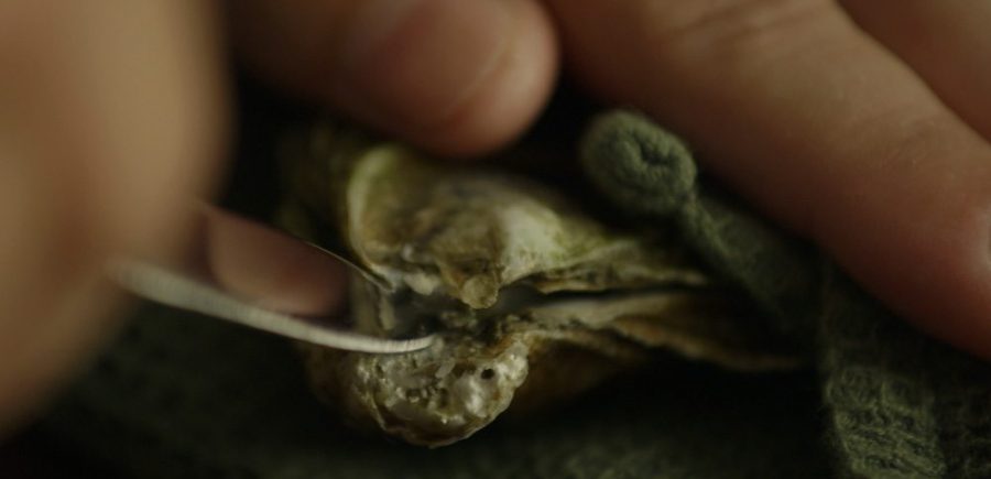 Oysters With Fennel-Lemon Mignonette | Volpi Foods