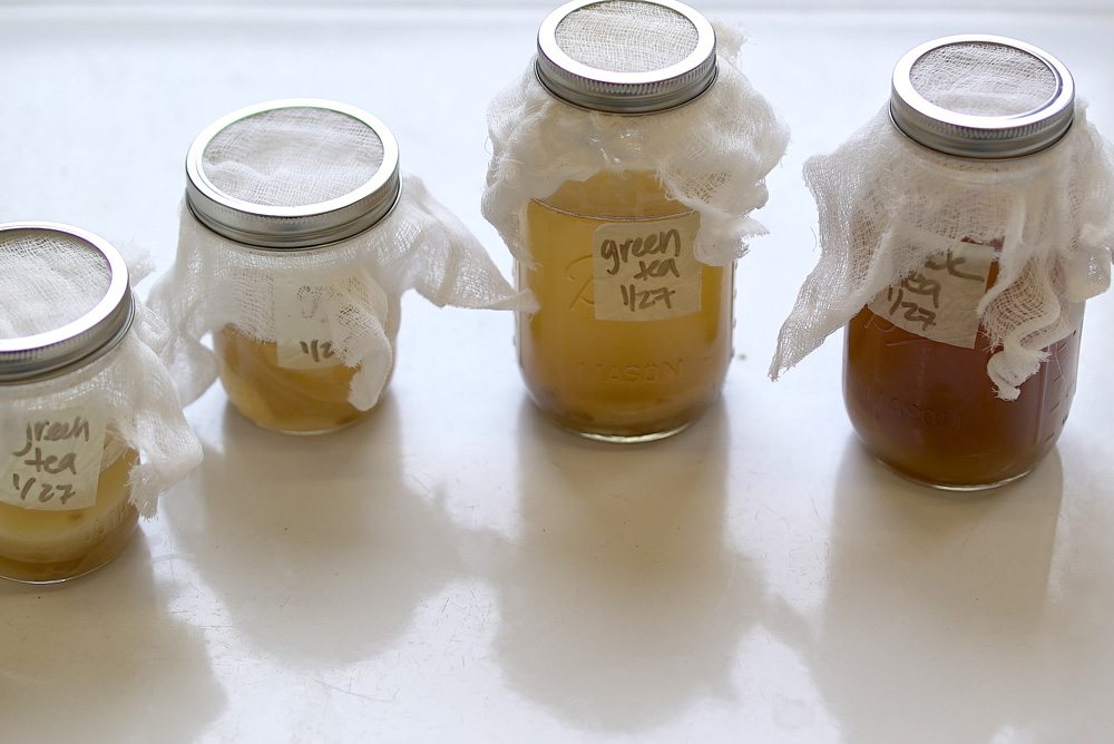 The Art of Fermenting Tea Recipe | Kombucha | Volpi Foods